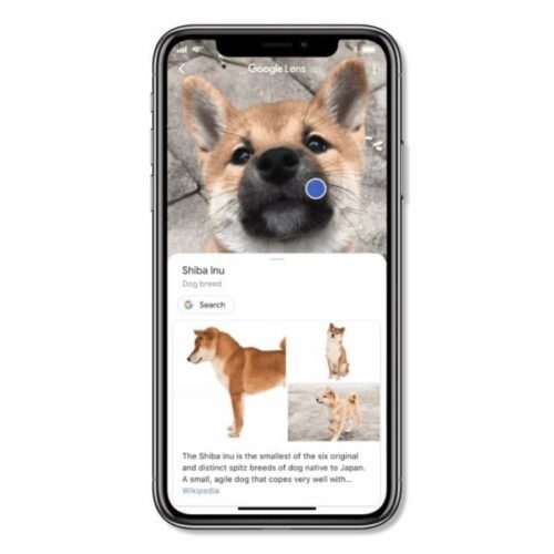 Visual Search: Qué es y cómo influye en el posicionamiento SEO